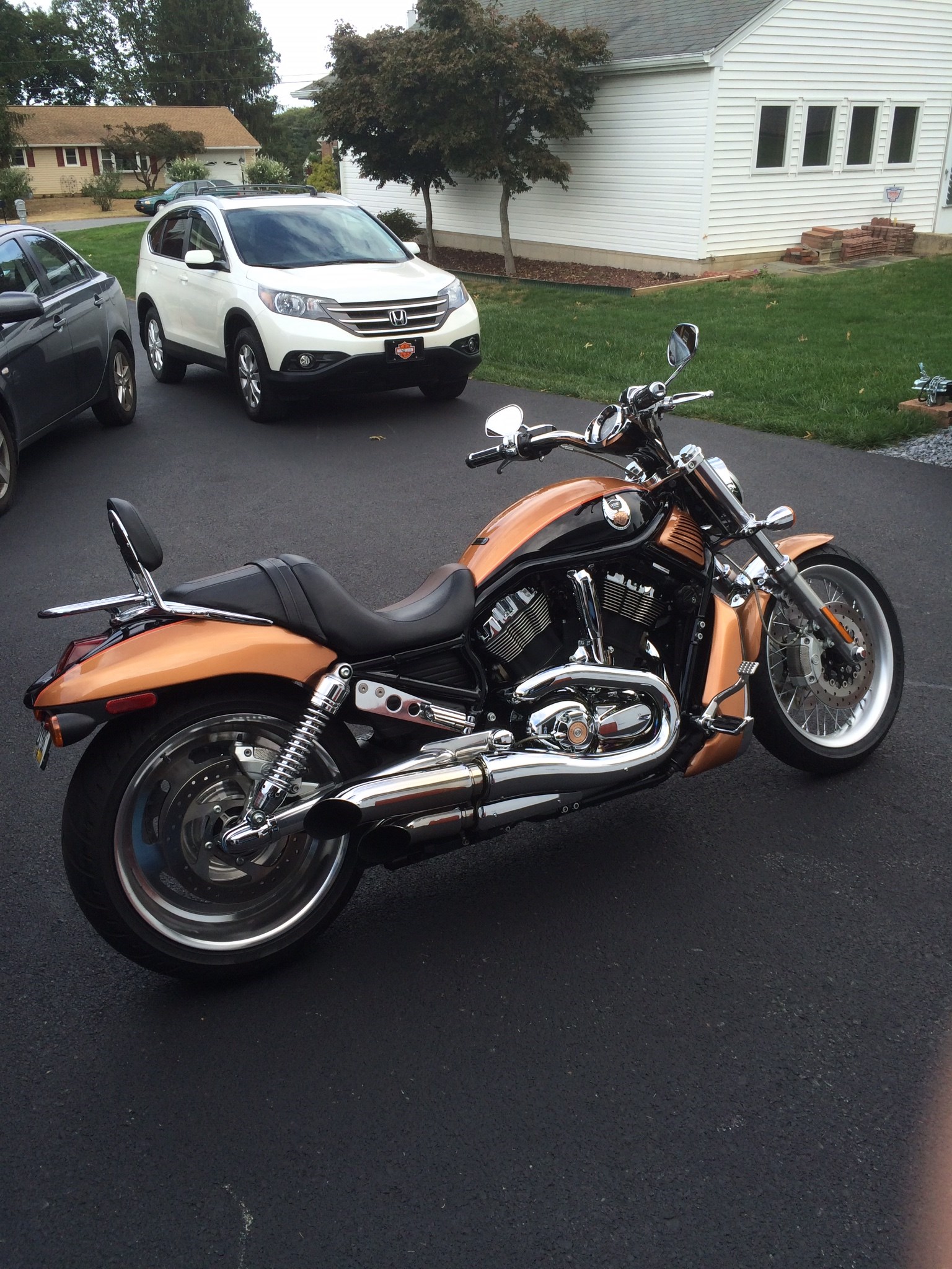 2008 Harley-Davidson® VRSCAW V-Rod® Anniversary for Sale in ...