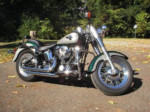 1996 Harley-Davidson® FLSTN Heritage Softail® Nostalgia for Sale in ...