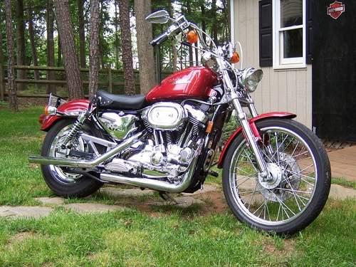 1997 Harley-Davidson® XL1200C Sportster® 1200 Custom for Sale in Rock ...