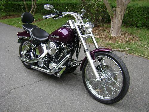 1998 Harley-Davidson® FXSTC Softail® Custom for Sale in Winston - Salem ...