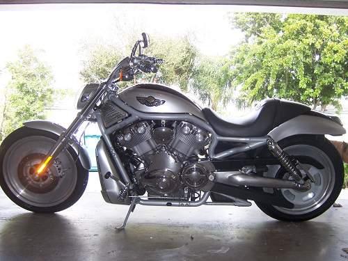 2003 Harley-Davidson® VRSCA V-Rod® for Sale in boynton beach, FL (Item ...
