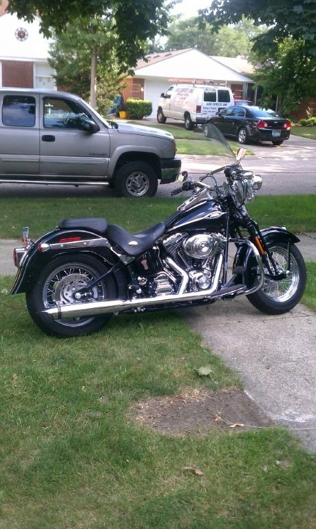 2006 Harley-Davidson® FLSTSC/I Softail® Springer® Classic for Sale in ...