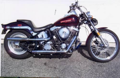 1990 Harley-Davidson® FXSTC Softail® Custom for Sale in Blandon, PA ...