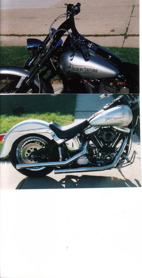 1989 Harley-Davidson® FXSTC Softail® Custom for Sale in KENOSHA, WI ...