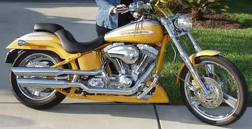 2004 Harley-Davidson® FXSTDSE2 Screamin' Eagle® Softail® Deuce for Sale ...