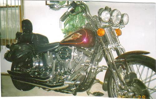 1996 Harley-Davidson® FXSTS Springer® Softail® for Sale in Brookfield ...