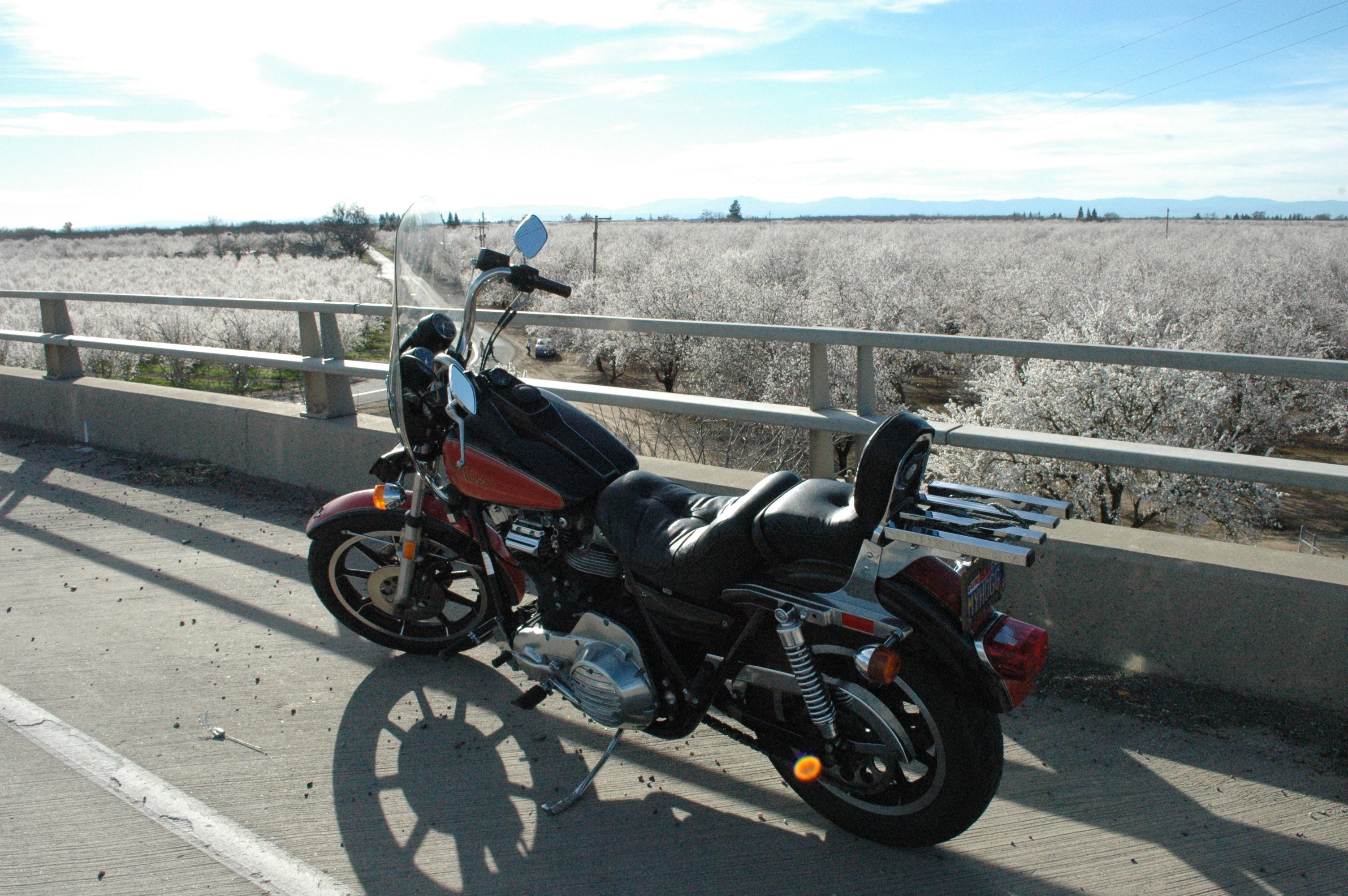 1982 Harley-Davidson® FXRS Super Glide II for Sale in Durham, CA (Item ...