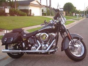2006 Harley-Davidson® FLSTSC/I Softail® Springer® Classic for Sale in ...