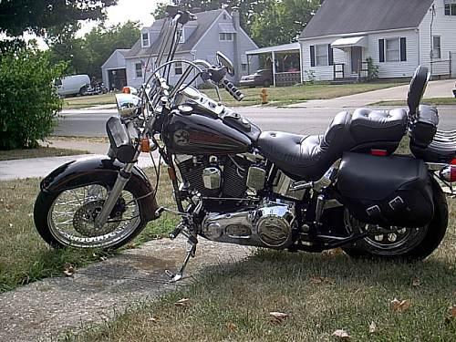 1994 Harley-Davidson® FXSTC Softail® Custom for Sale in hamilton, OH ...