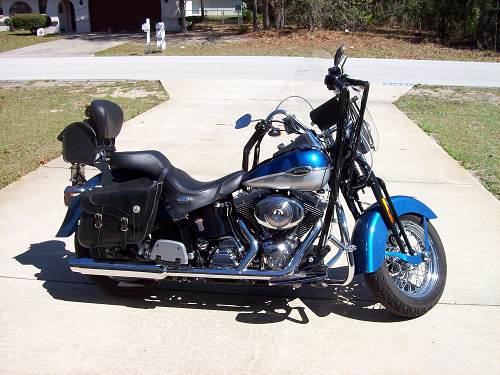 2005 Harley-Davidson® FLSTSC/I Softail® Springer® Classic for Sale in ...