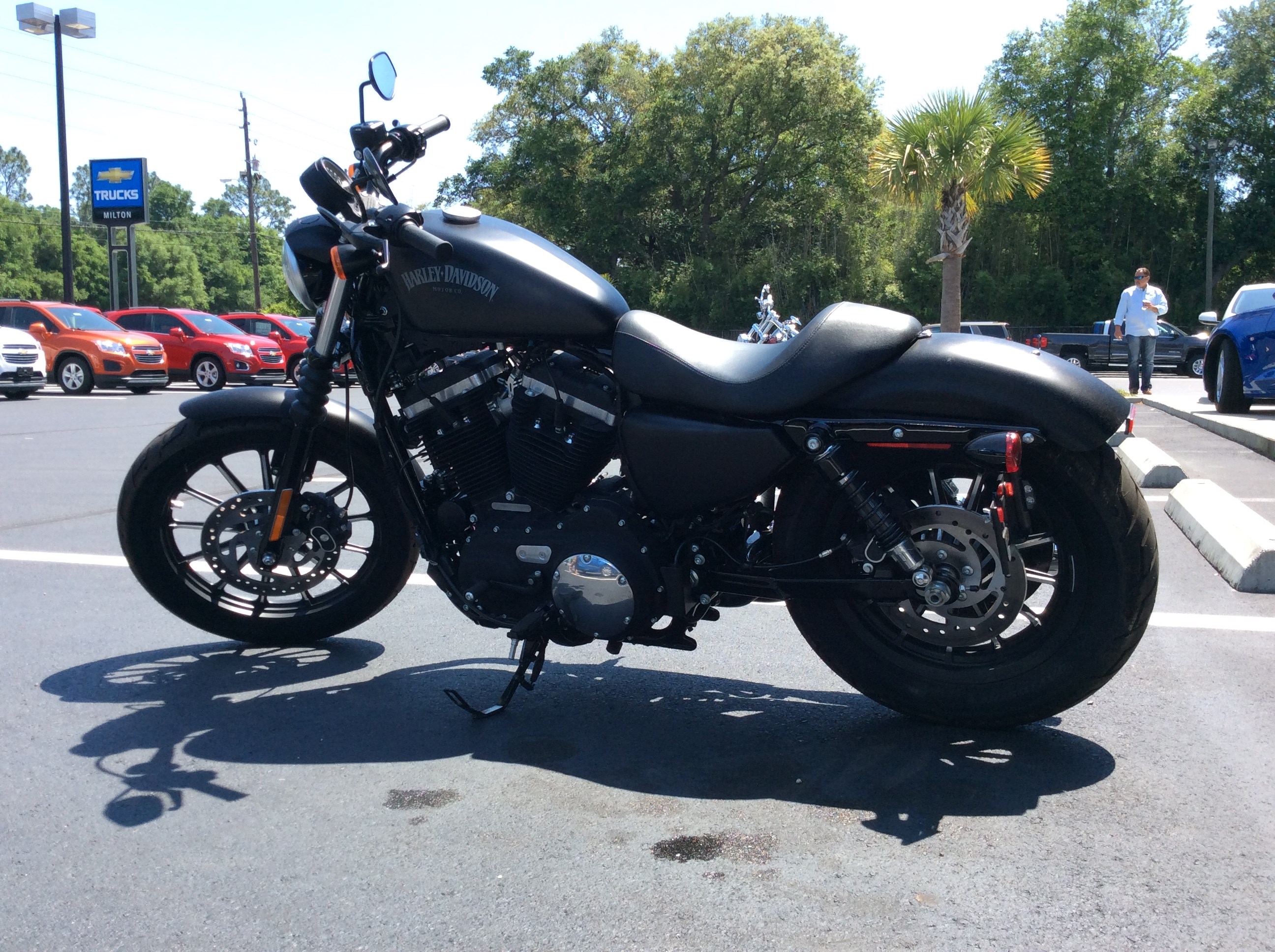 2015 Harley-Davidson® XL883L Sportster® SuperLow® for Sale in MILTON ...