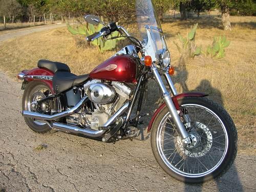2000 Harley-Davidson® FXST Softail® Standard for Sale in Concan, TX ...