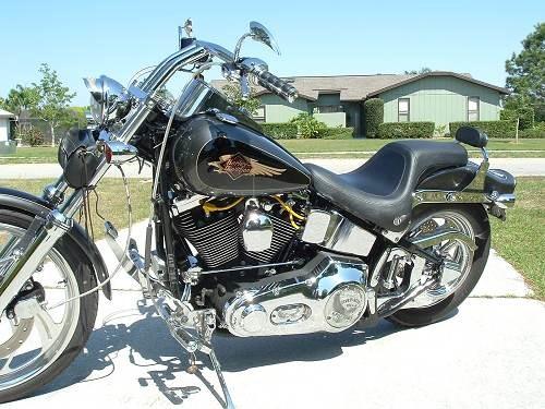 1998 Harley-Davidson® FXSTC Softail® Custom for Sale in Bradenton, FL ...