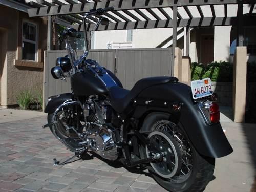 2005 Harley-Davidson® FLSTSC/I Softail® Springer® Classic for Sale in ...