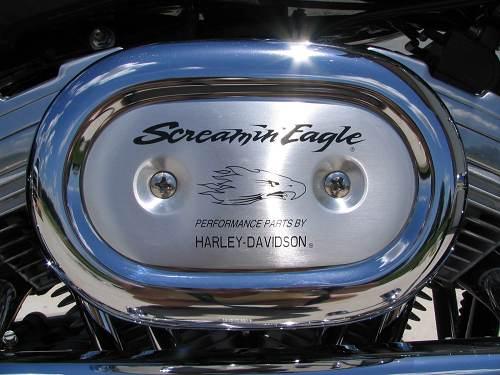 2002 Harley-Davidson® XL883H Sportster® 883 Hugger® for Sale in ...