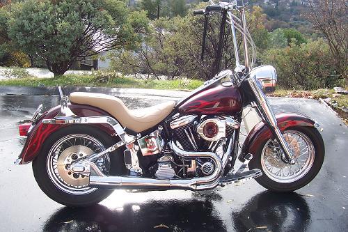 1989 Harley-Davidson® FXST Softail® Standard for Sale in cameron park ...