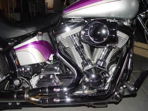 1999 Harley-Davidson® FXSTC Softail® Custom for Sale in homeland , CA ...