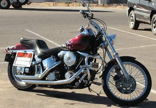 1994 Harley-Davidson® FXSTC Softail® Custom for Sale in Yuma, AZ (Item ...