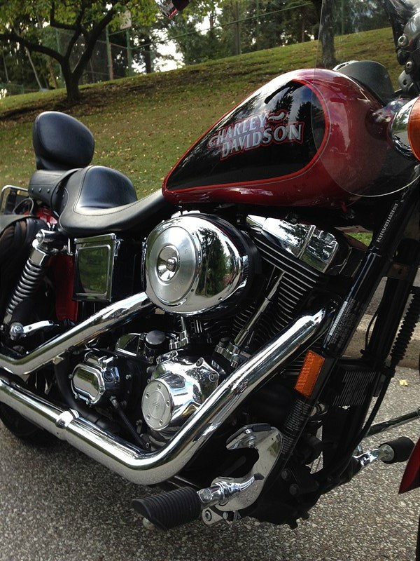 1999 Harley-Davidson® FXDS-CONV Dyna® Convertible for Sale in ...
