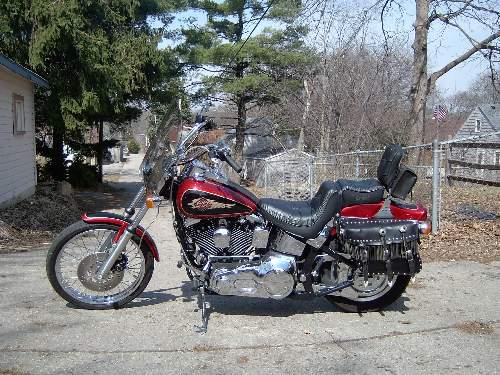 1998 Harley-Davidson® FXSTC Softail® Custom for Sale in Dodgeville, WI ...