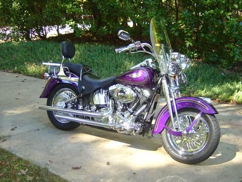 2000 Harley-Davidson® FLSTS Heritage Springer® for Sale in Greensboro ...