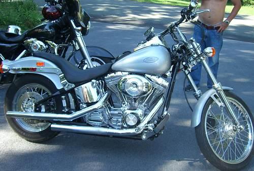 2001 Harley-Davidson® FXST/I Softail® Standard for Sale in monroe, NY ...