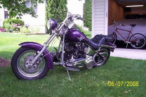 1985 Harley-Davidson® FXST Softail® for Sale in Walworth, NY (Item 84314)