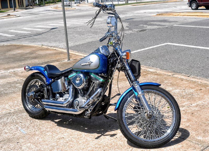 1999 Harley-Davidson® FXSTC Softail® Custom for Sale in Daytona Beach ...