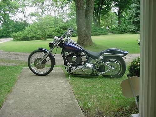 1999 Harley-Davidson® FXSTC Softail® Custom for Sale in Miamisburg, OH ...