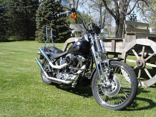 1999 Harley-Davidson® FXSTS Springer® Softail® for Sale in Elsie, MI ...
