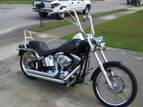 2008 Harley-Davidson® FXSTC Softail® Custom for Sale in Gulf Breeze, FL ...