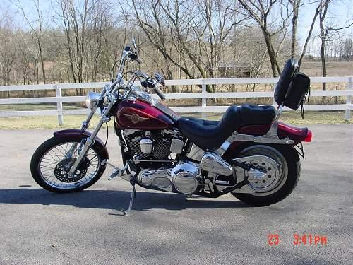 1998 Harley-Davidson® FXSTC Softail® Custom for Sale in Thompsons ...