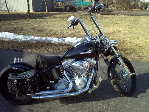 2005 Harley-Davidson® FXST/I Softail® Standard for Sale in Mound, MN ...