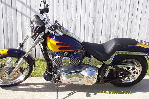 2003 Harley-Davidson® FXST/I Softail® Standard for Sale in Tewksbury, MA (Item 76842)