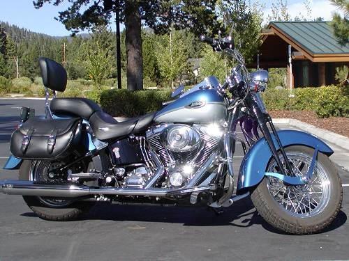 2005 Harley-Davidson® FLSTSC/I Softail® Springer® Classic for Sale in ...