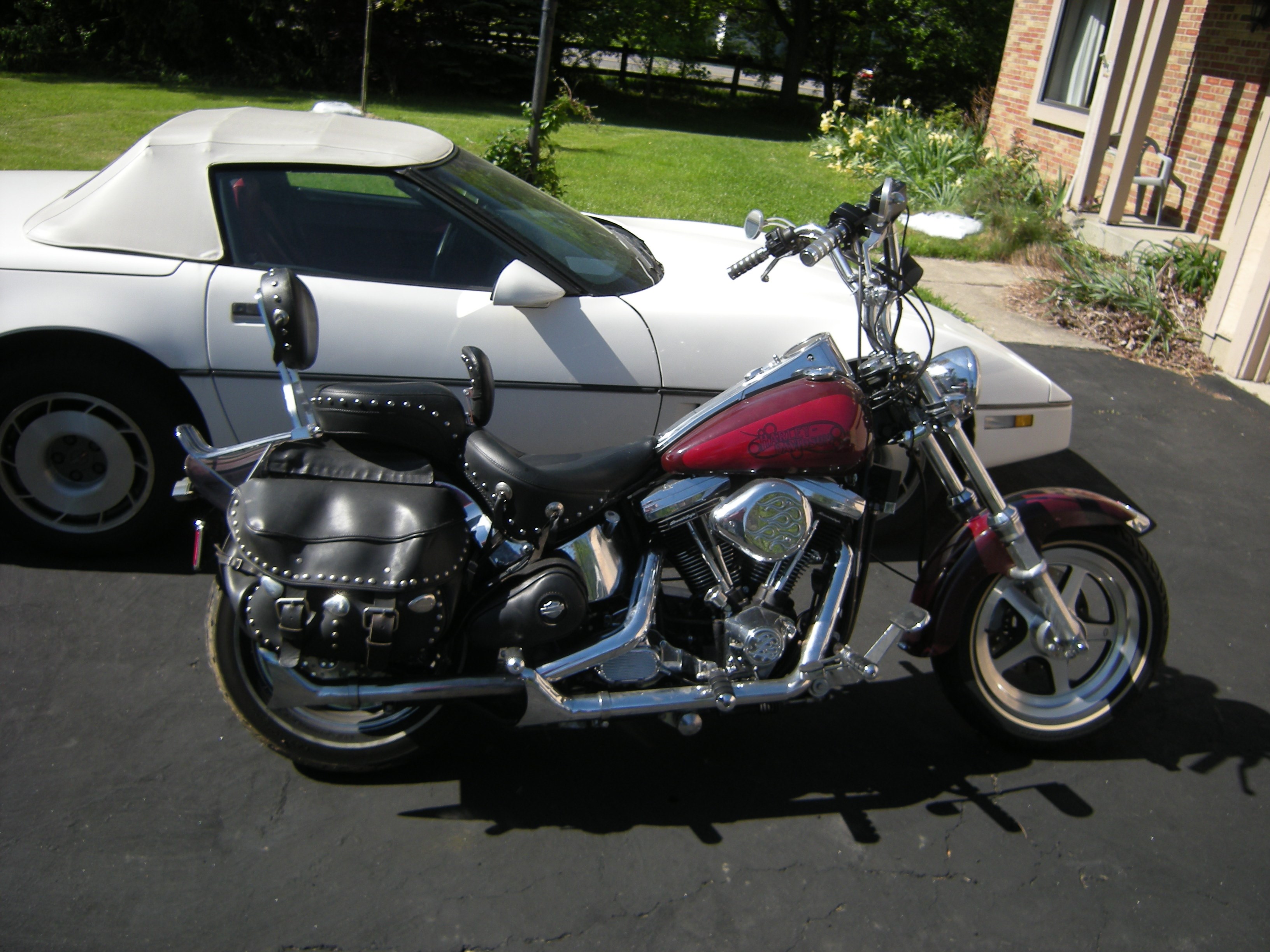 1987 Harley-Davidson® FXST Softail® for Sale in Pickerington, OH (Item ...