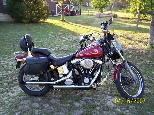 1994 Harley-Davidson® FXSTC Softail® Custom for Sale in Brooksville, FL ...