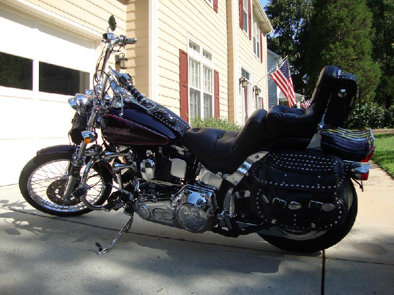 1994 Harley-Davidson® FXSTC Softail® Custom for Sale in Matthews, NC ...