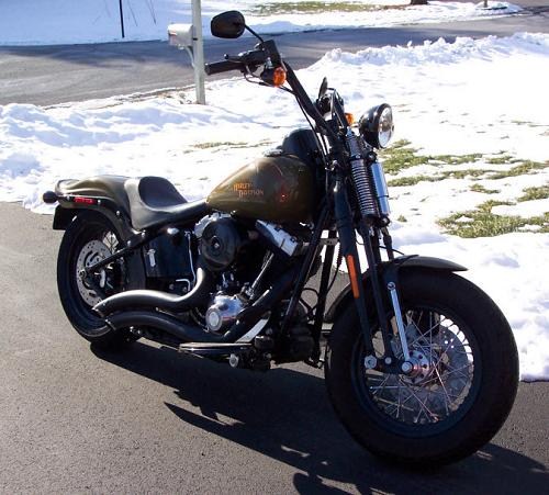 2008 Harley-Davidson® FLSTSB Softail® Cross Bones® for Sale in ...