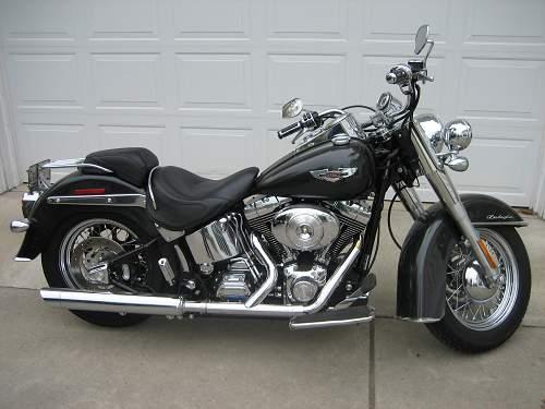 2005 Harley-Davidson® FLSTN/I Softail® Deluxe for Sale in Denver, CO ...