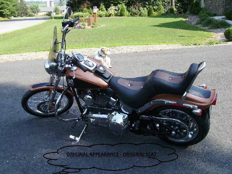 2008 Harley-Davidson® FXSTC Softail® Custom for Sale in Parkesburg, PA ...
