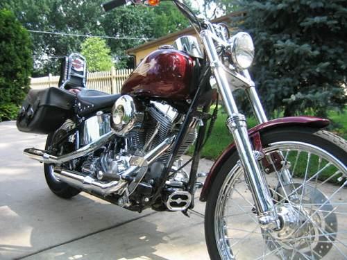 2002 Harley-Davidson® FXST/I Softail® Standard for Sale in Itasca, IL ...