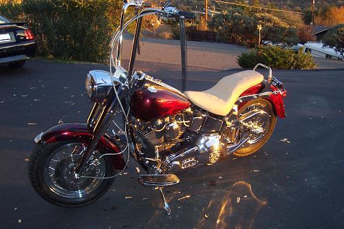 1989 Harley-Davidson® FXST Softail® Standard for Sale in cameron park ...