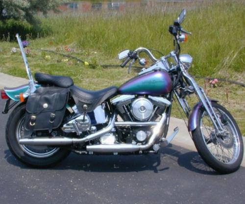 1993 Harley-Davidson® FXSTS Springer® Softail® for Sale in Maple Grove ...