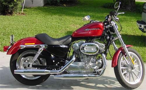 2004 Harley-Davidson® XLH-883 Sportster® 883 for Sale in Clearwater, FL ...