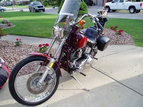 1986 Harley-Davidson® FXSTC Softail® Custom for Sale in harrison twp, MI (Item 49565)