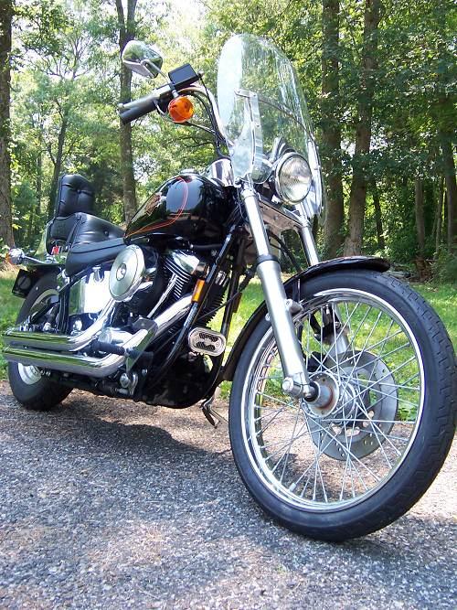 1995 Harley-Davidson® FXSTC Softail® Custom for Sale in Port Jefferson ...