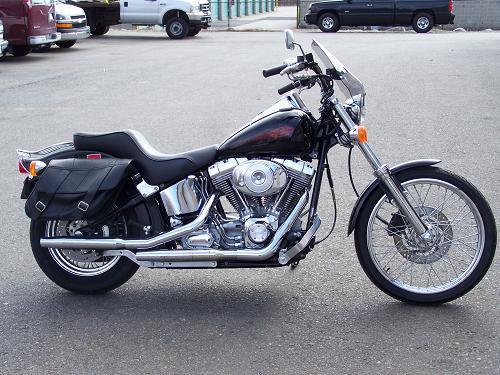 2000 Harley-Davidson® FXST Softail® Standard for Sale in Whitman, MA ...