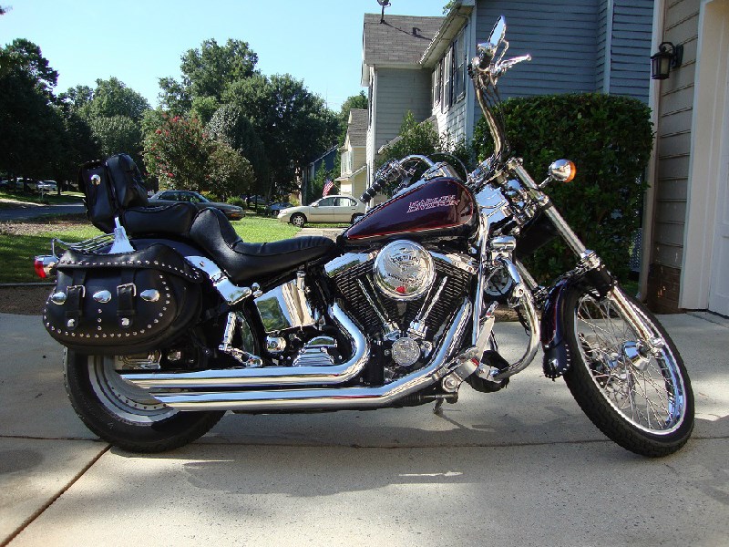 1994 Harley-Davidson® FXSTC Softail® Custom for Sale in Matthews, NC ...