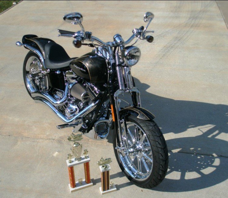 2008 Harley-Davidson® FXSTSSE2 Screamin' Eagle® Softail® Springer® for ...